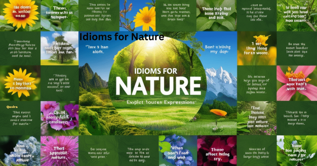 40 Idioms for Nature - Qavira