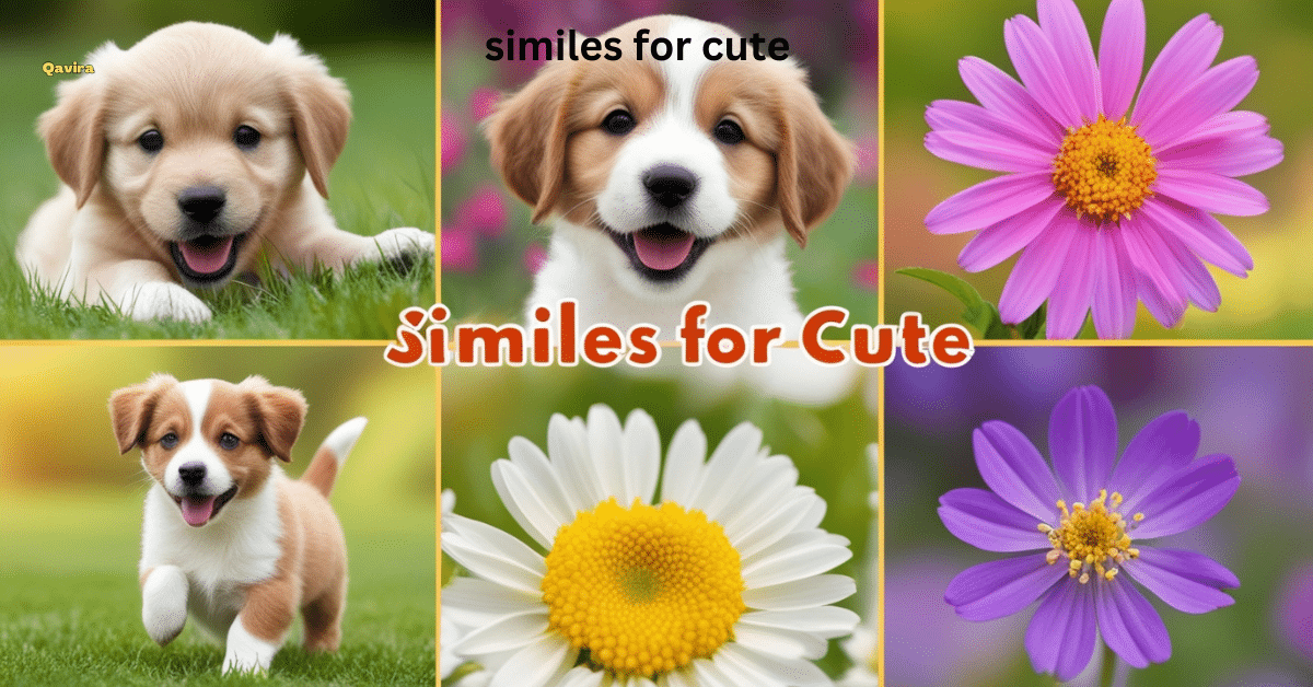 35 Similes For Cute Qavira